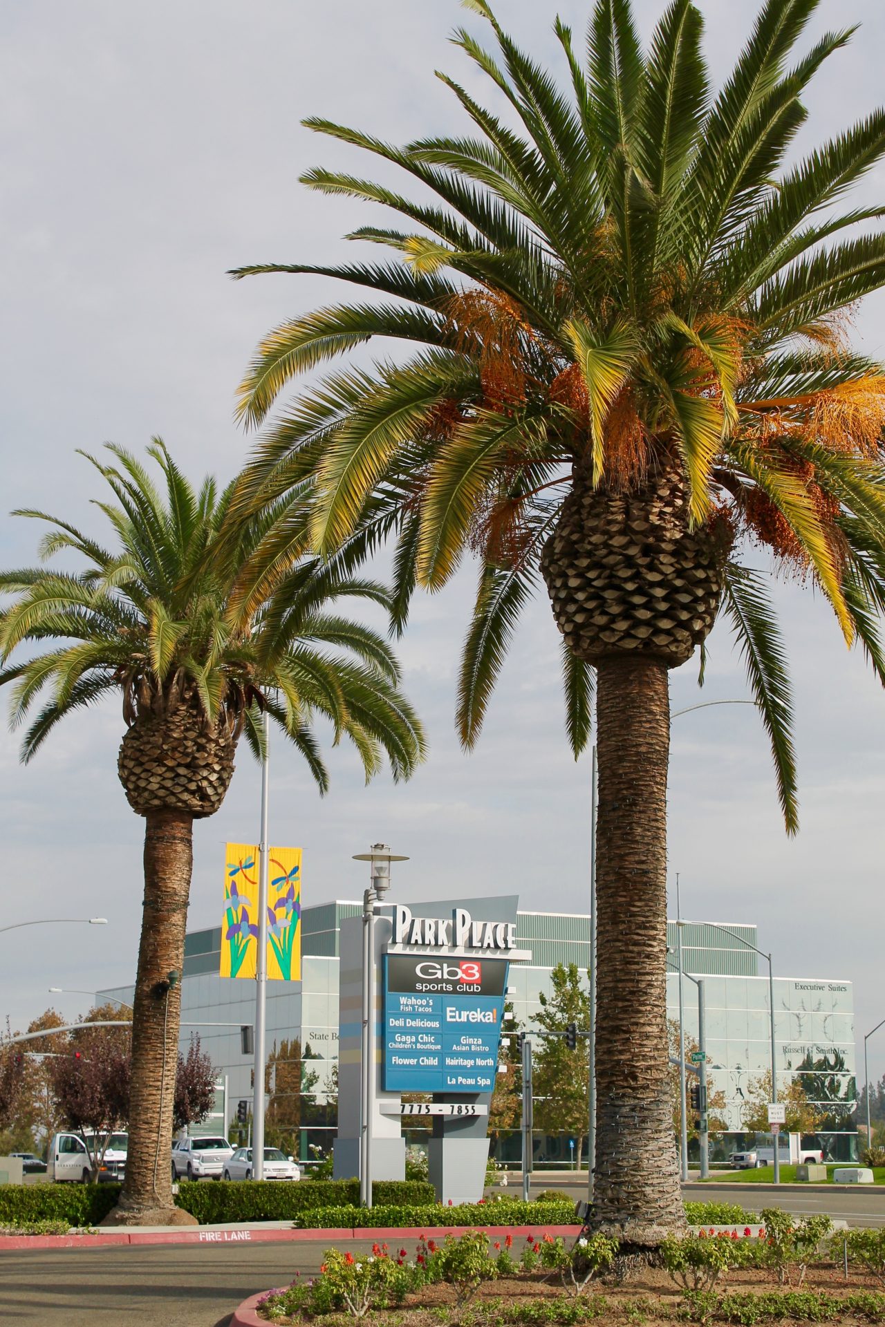 Park Place Fresno | Up-scale, dining, shopping and healthy and beauty ...